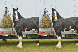 Daily Diff - Free Online Games and Free Puzzle Games Games from ...