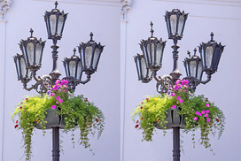 Daily Diff - Free Online Games and Free Daily Games Games from ...