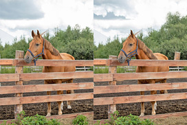 Daily Diff - Free Online Games and Free Daily Games Games from ...